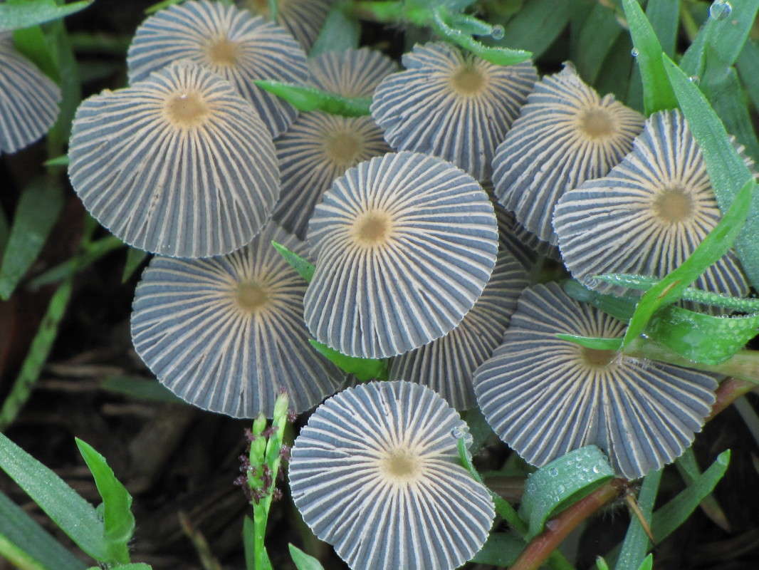 Фотография на PhotoGeek.ru