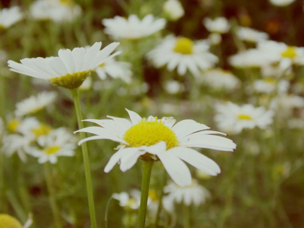 Фотография на PhotoGeek.ru