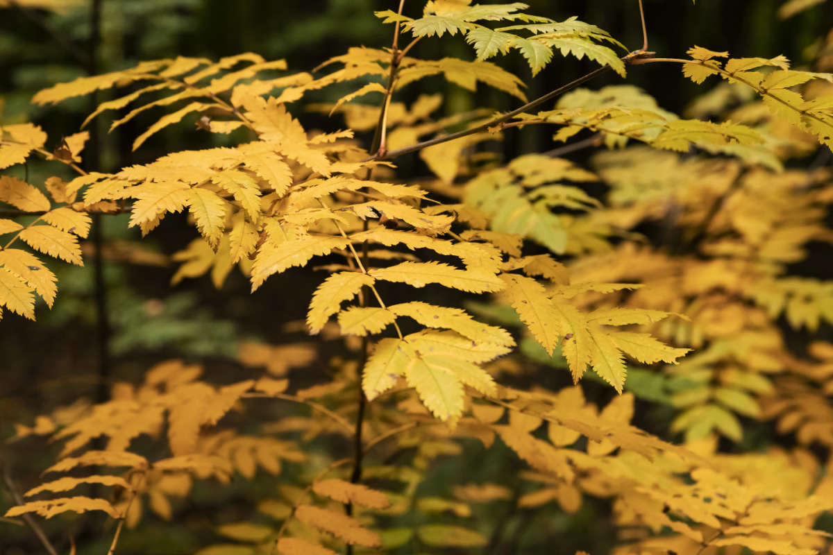 Фотография на PhotoGeek.ru