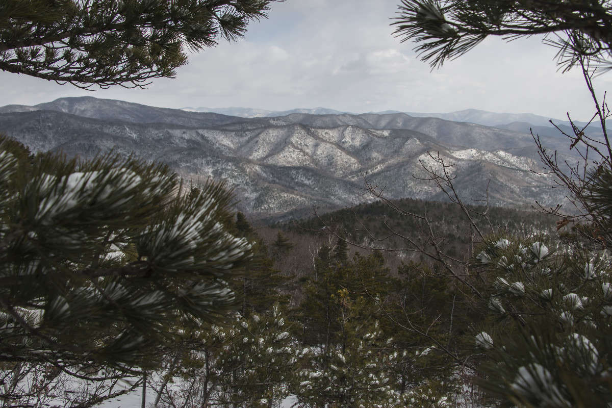 Фотография на PhotoGeek.ru