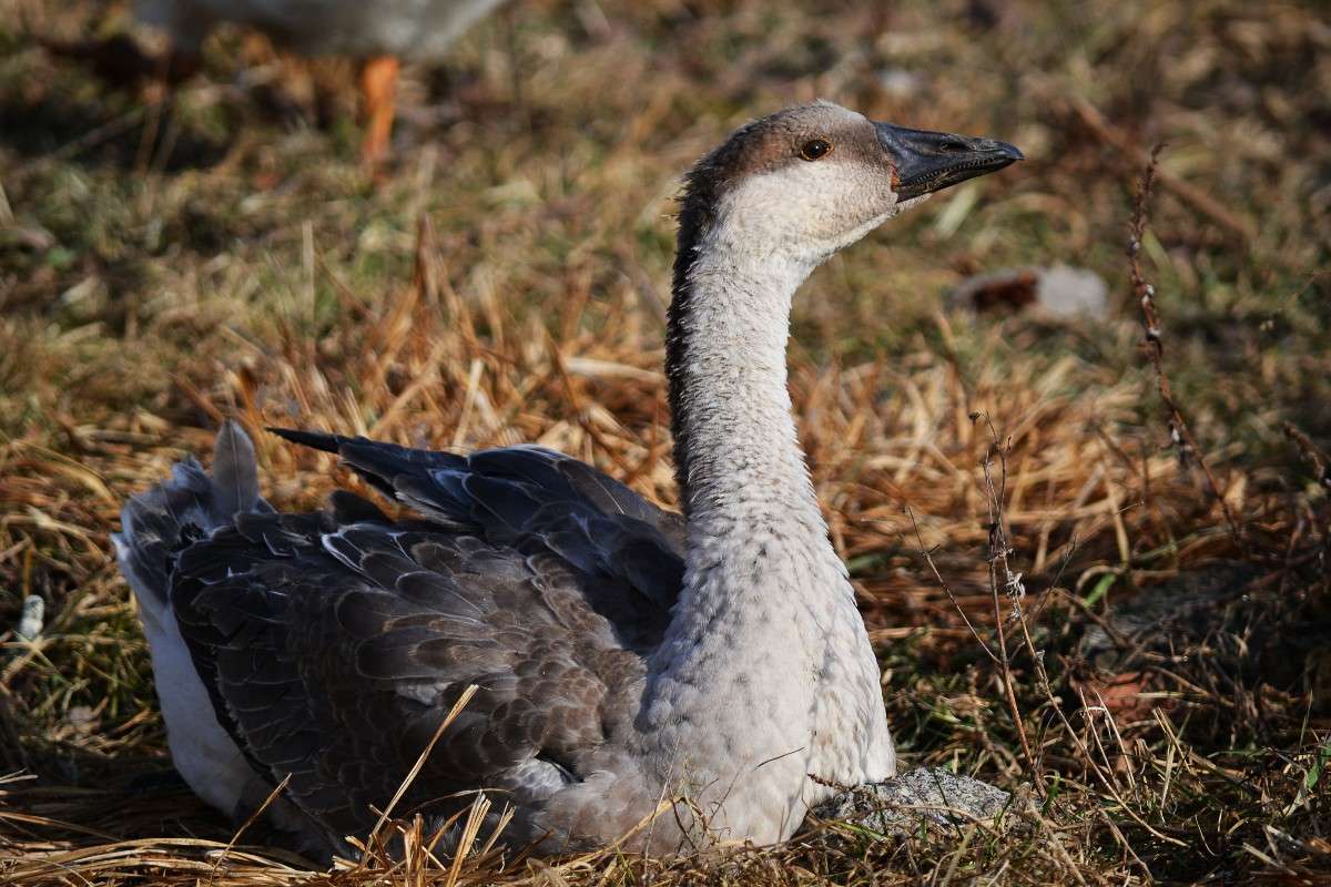 Фотография на PhotoGeek.ru