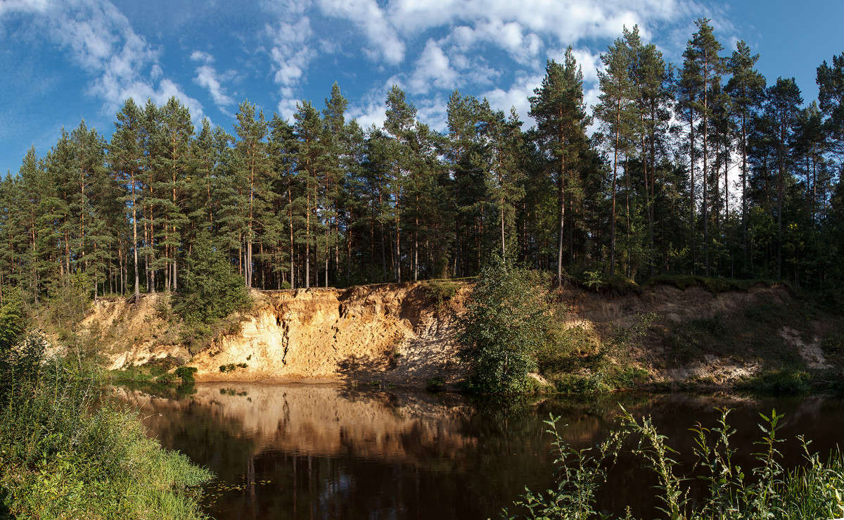 Лесной пейзаж / Лесной пейзаж / Фотография на PhotoGeek.ru