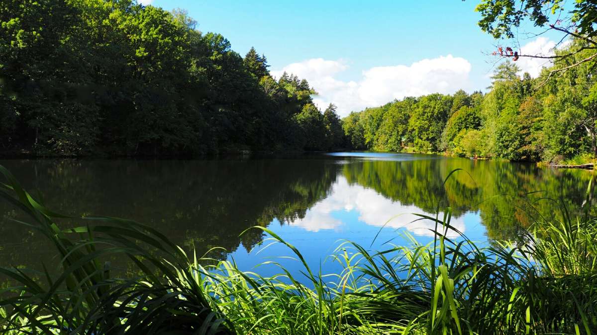 Райский уголок природы. / Райский уголок природы. / Фотография на ...