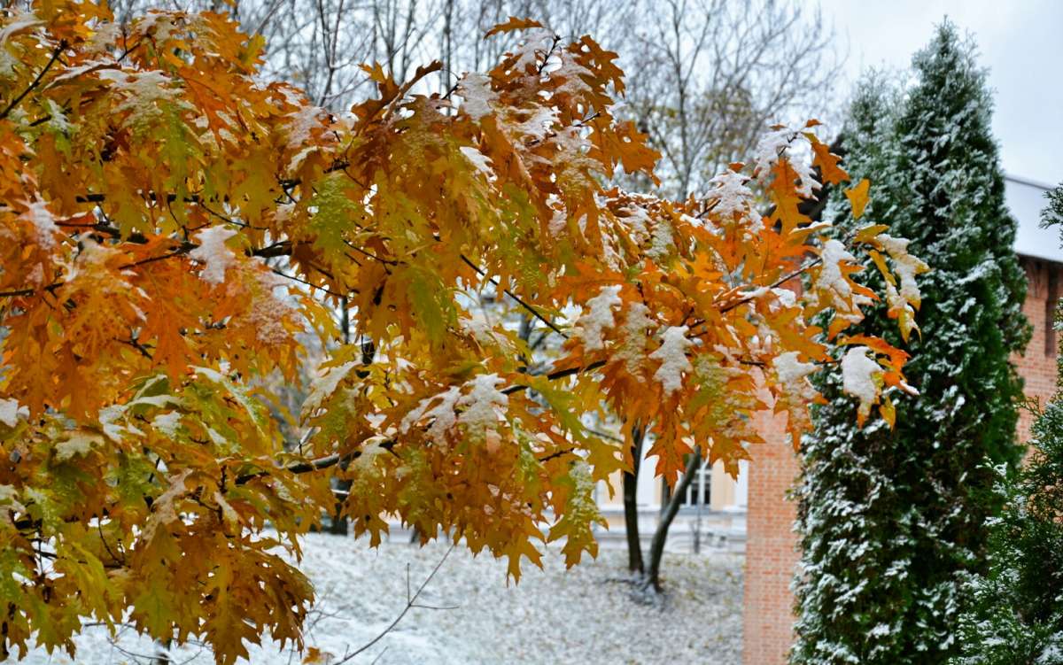 Картинка октября. / Картинка октября. / Фотография на PhotoGeek.ru