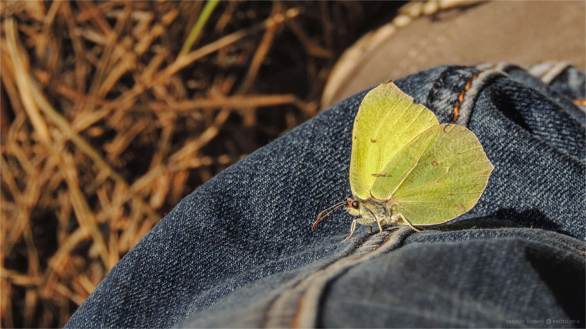 Отдыхаем / Отдыхаем / Фотография на PhotoGeek.ru